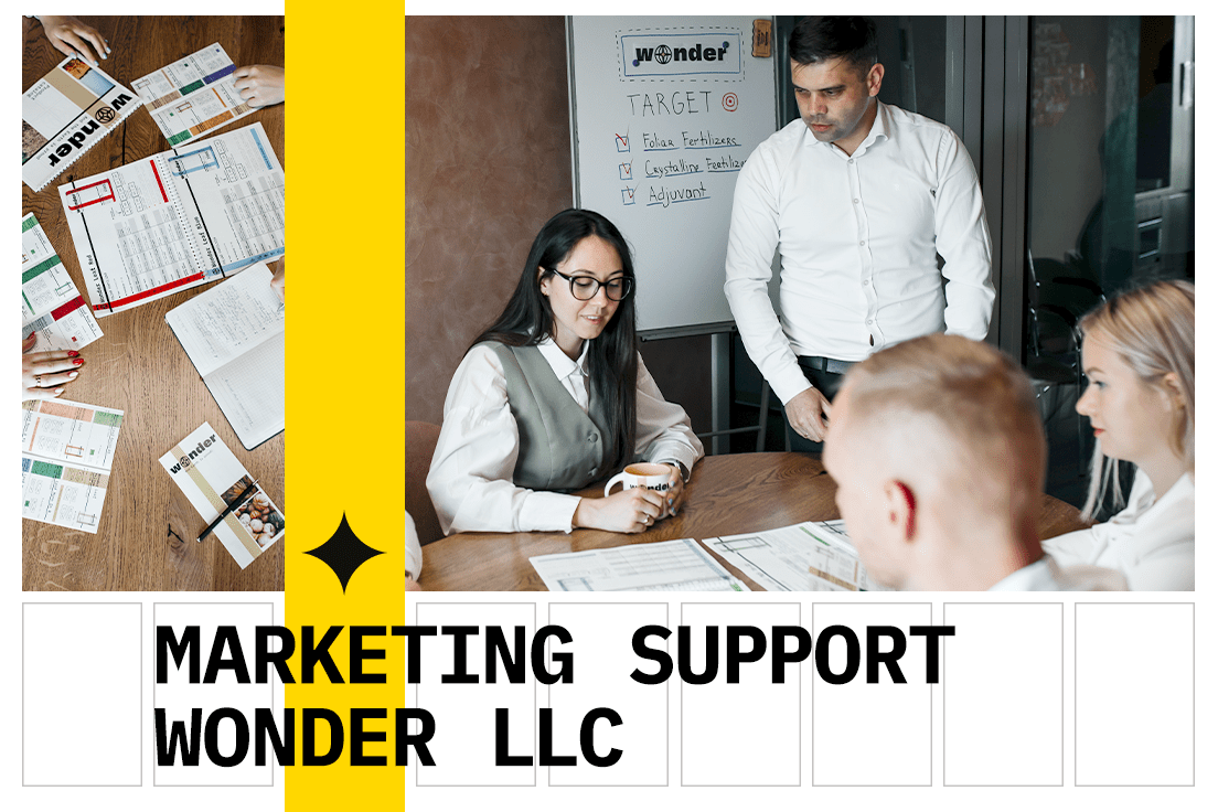 Marketing support of Wonder LLC